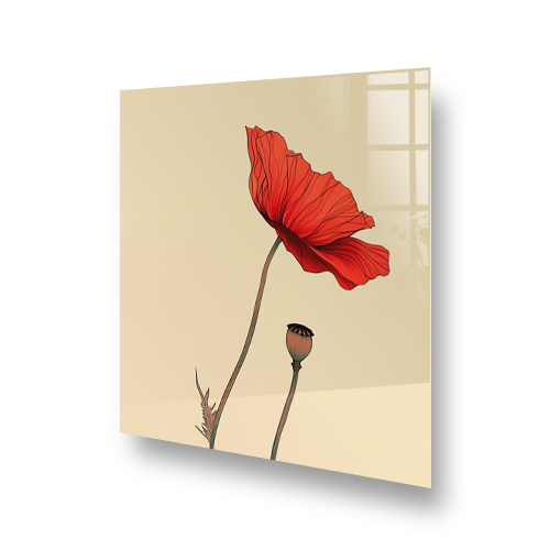 Single Poppy Display Printed Splashback | VividSplashbacks