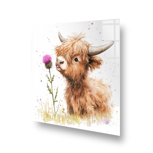 Highland Cow Thistle Kiss Printed Splashback | VividSplashbacks