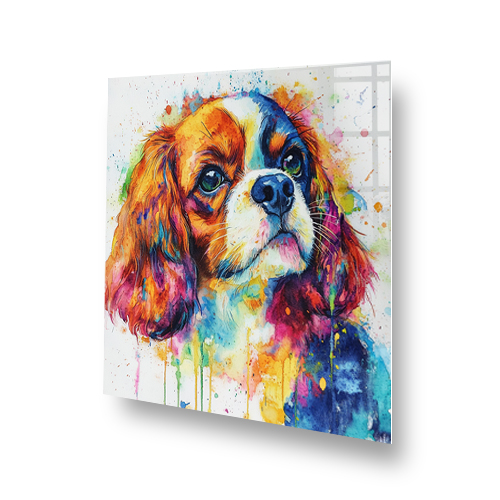 Colourful Cavalier Printed Splashback | VividSplashbacks