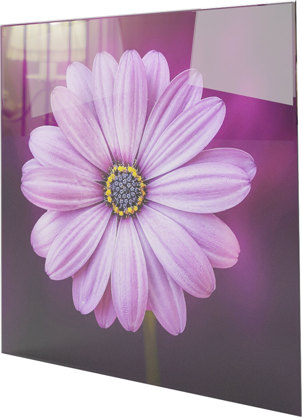 Printed Glass Splashback Manufacturers | VividSplashbacks